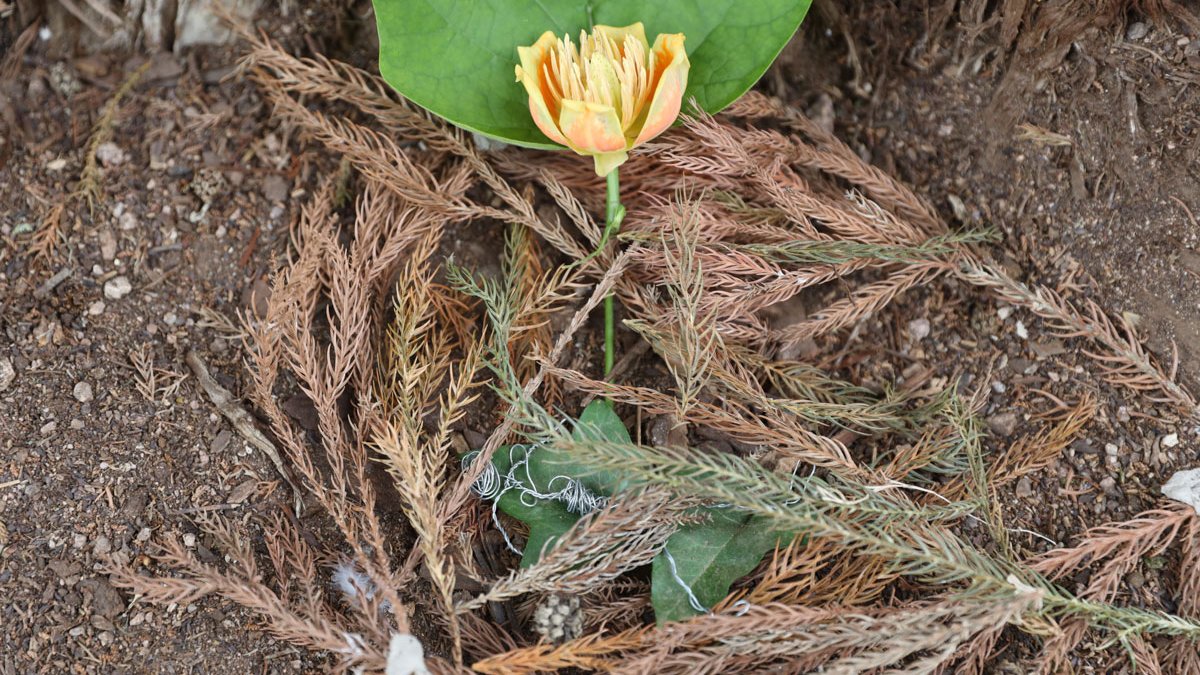 Abris-corps / École Braconnot — Ville de Nancy