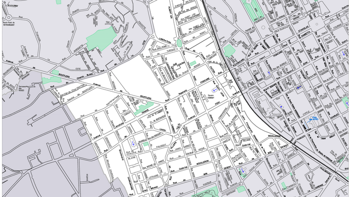 Poincaré, Foch, Anatole France, Croix de Bourgogne — Nancy la ville ...